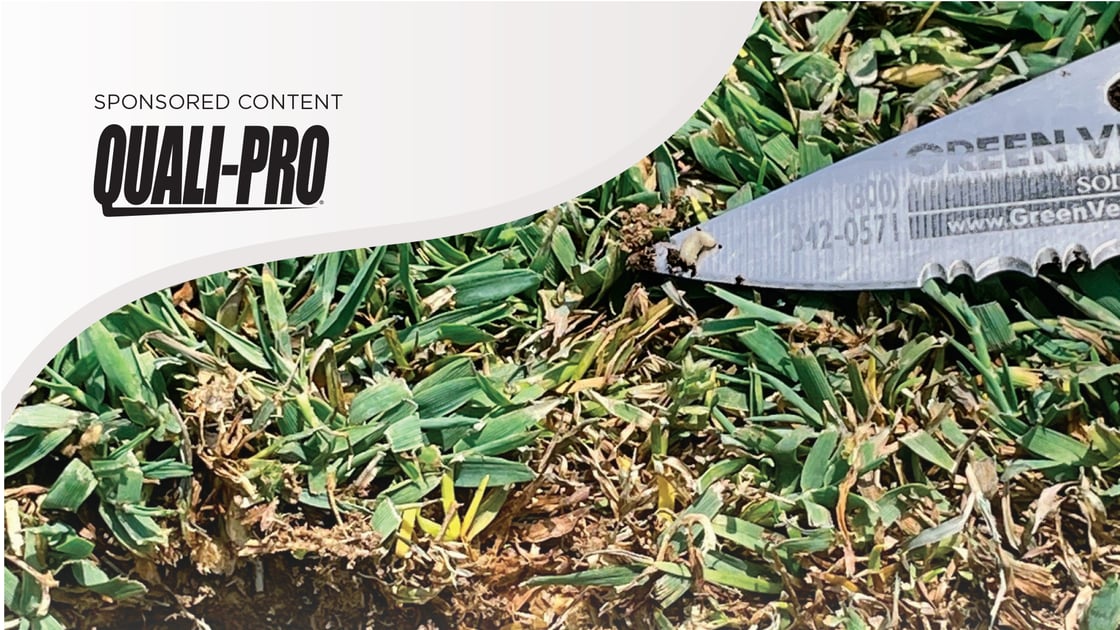 Trust the Research for an ABW Free Course